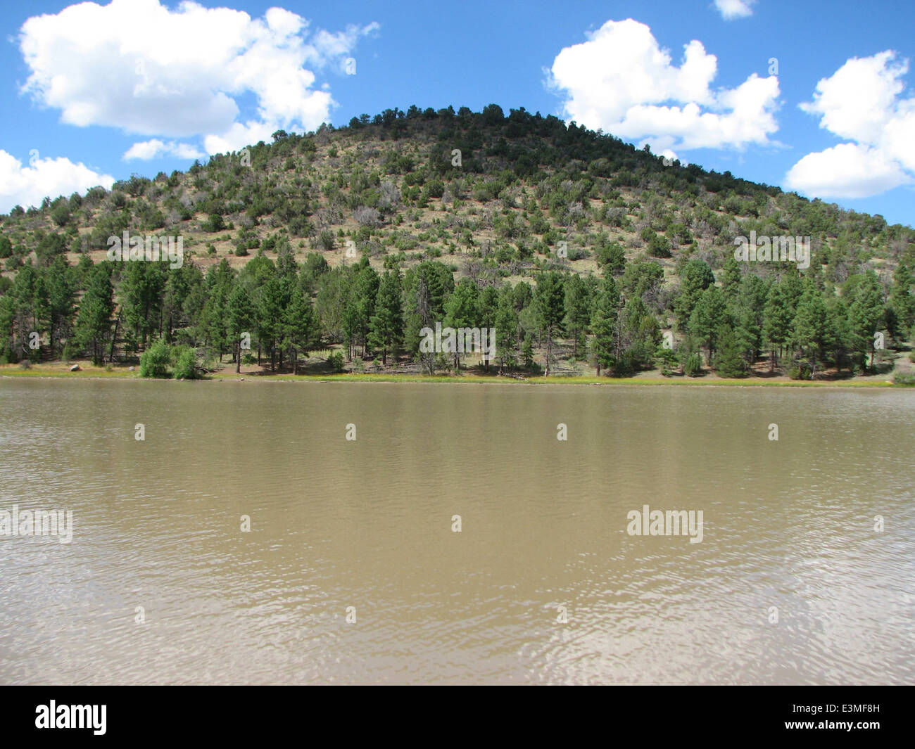 Kaibab Lake Campground, located in the Williams Ranger District of Kaibab National Forest ...