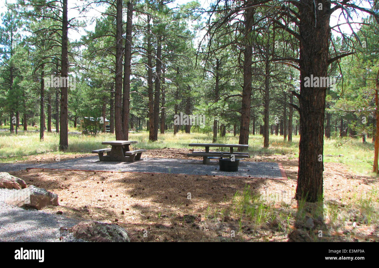 Kaibab Lake Campground in the Williams Ranger District offers a picturesque camping experience ...