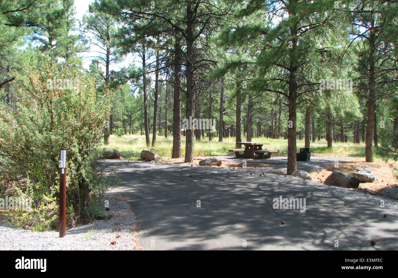 Kaibab Lake Campground, located in the Williams Ranger District, offers recreational ...
