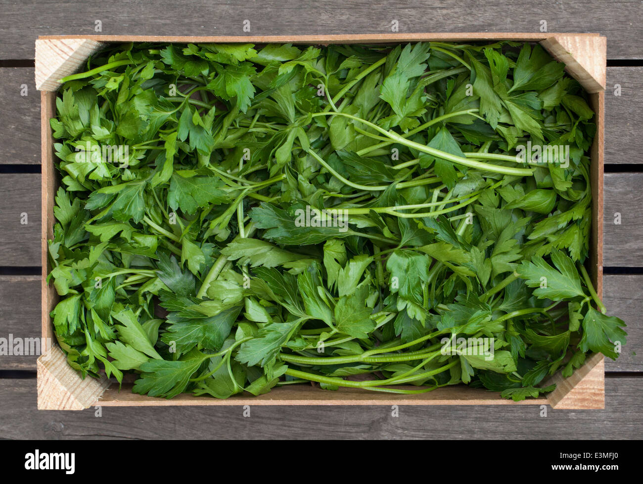Parsley box hi-res stock photography and images - Alamy