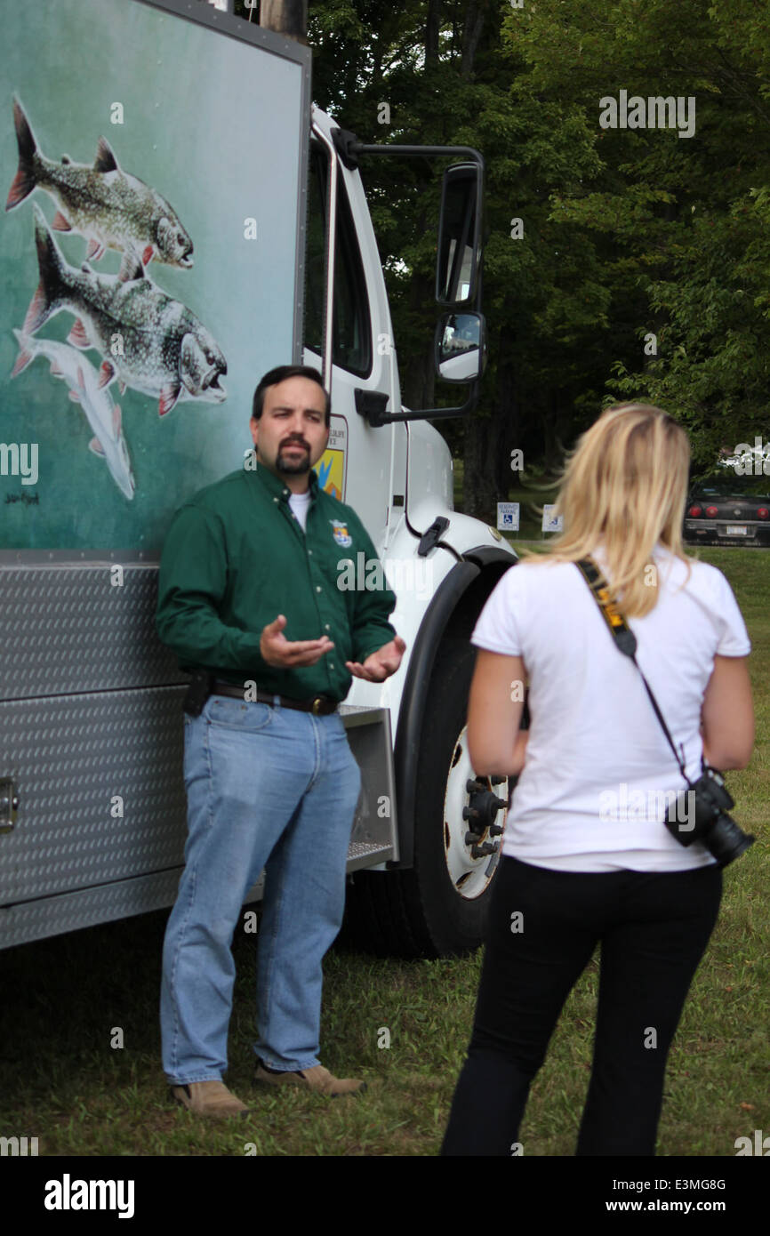 Cow killer wasp hi-res stock photography and images - Alamy