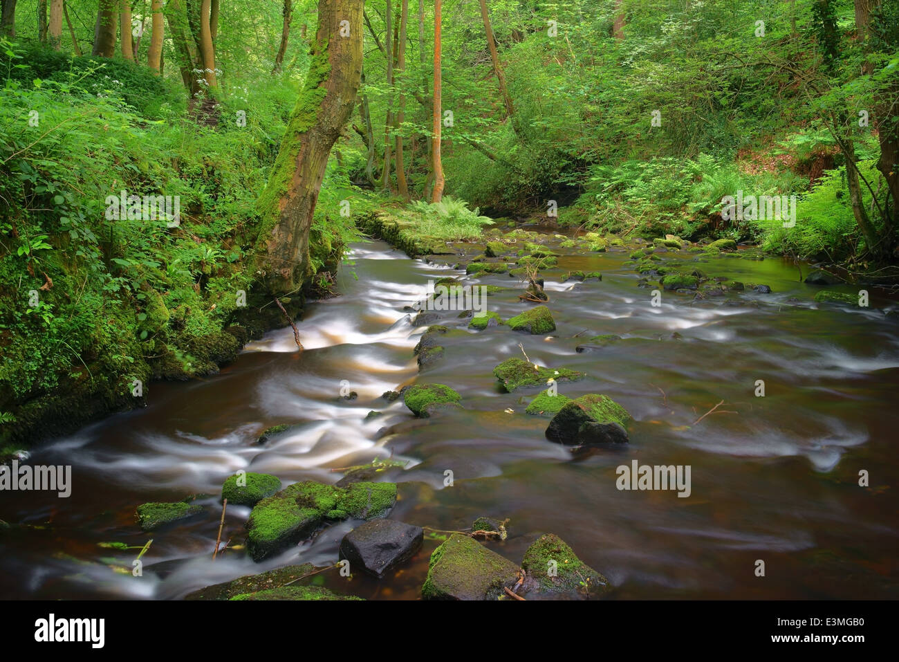 UK,South Yorkshire,Sheffield,Rivelin Valley Waterfalls Stock Photo - Alamy