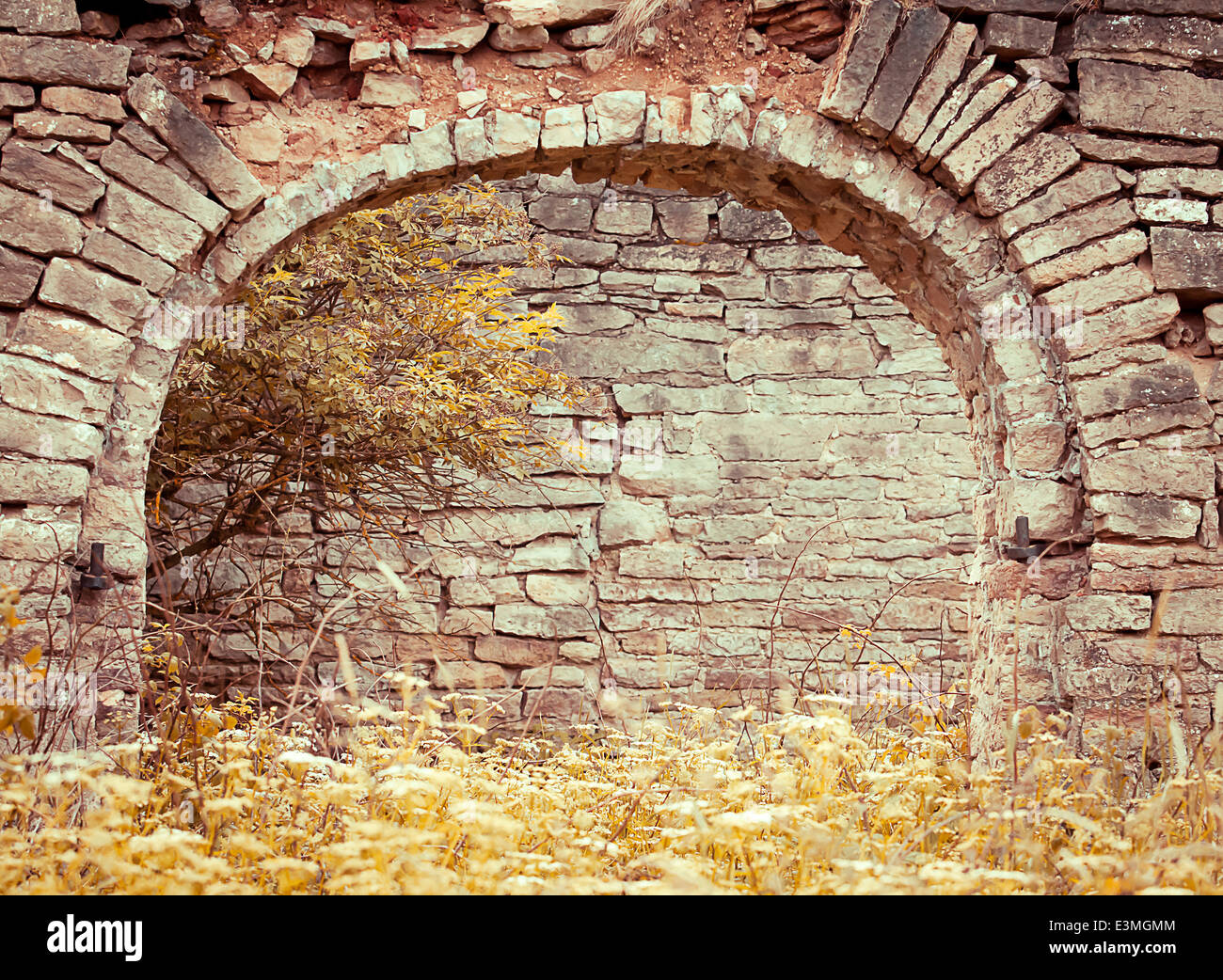 Brick Archway High Resolution Stock Photography and Images - Alamy