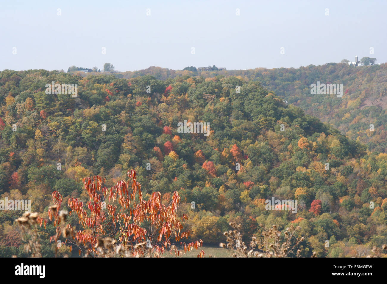 Great River Bluffs State Park in the Driftless Area of Minnesota offers ...