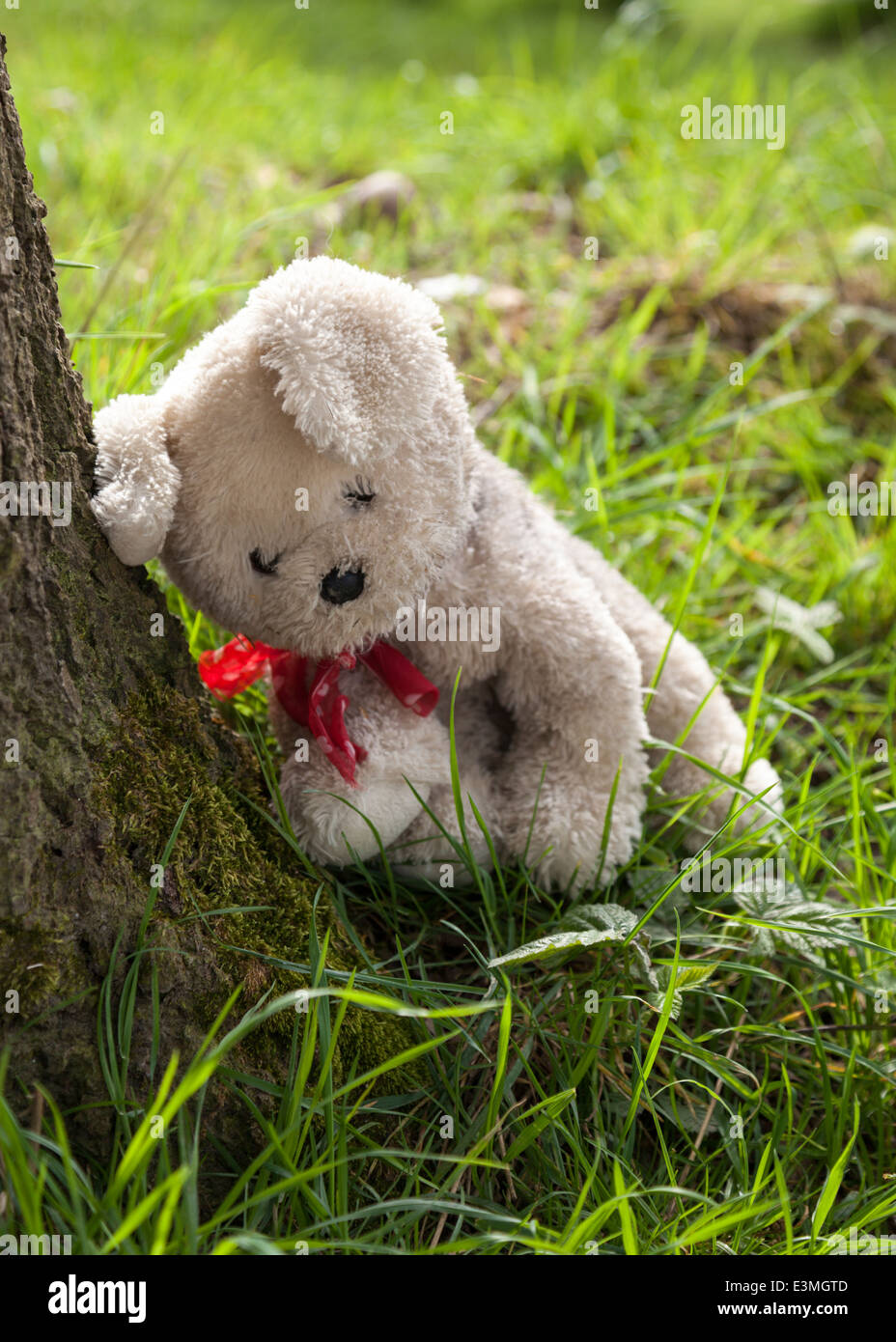 Close up of child's teddy bear lying by a tree trunk in the grass Stock ...