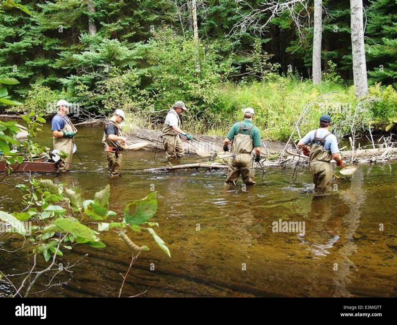 The Michigan Wildlife Sport Fish Restoration (WSFR) program highlights ...