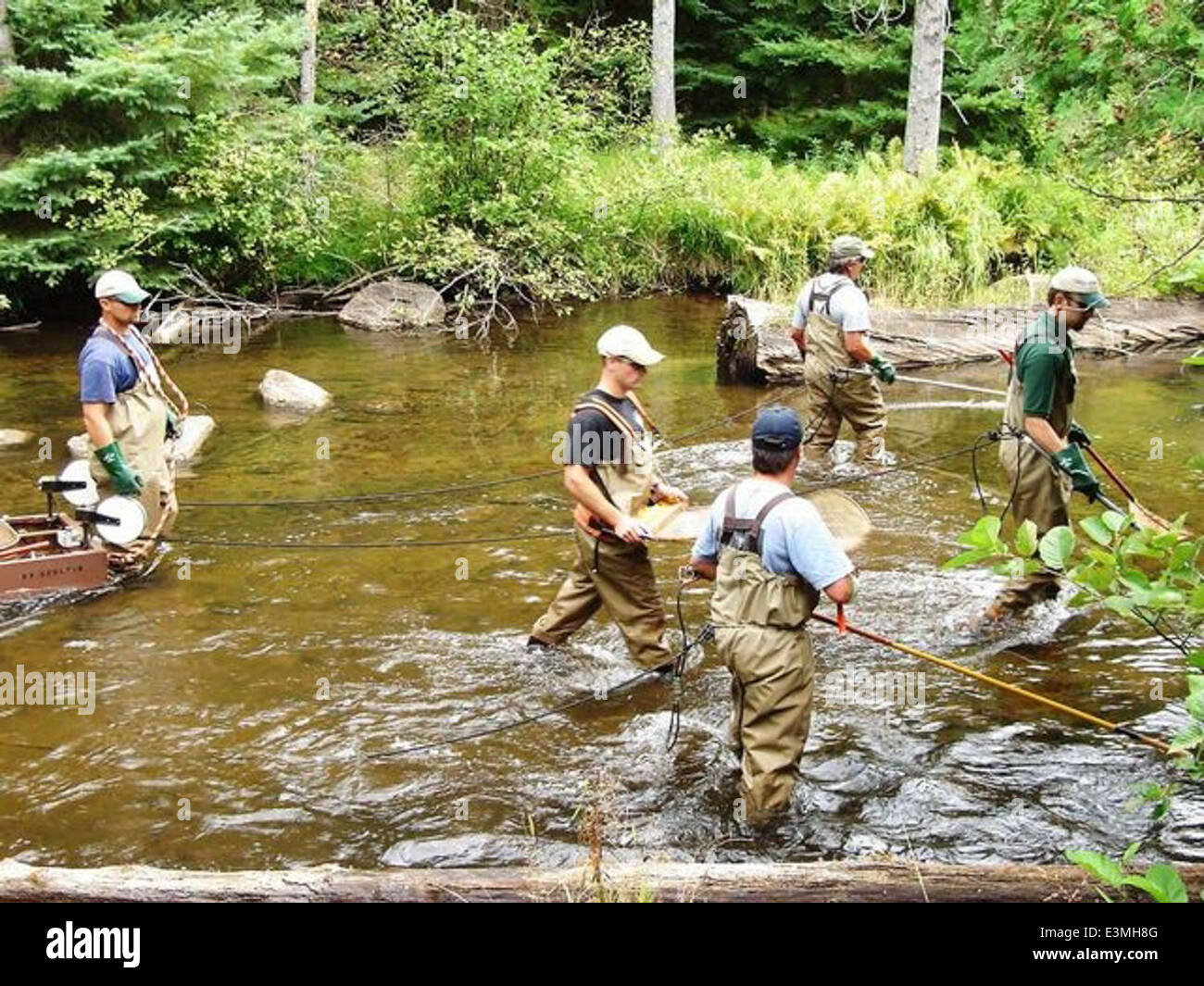A part of Michigan's ongoing conservation initiatives, this image ...