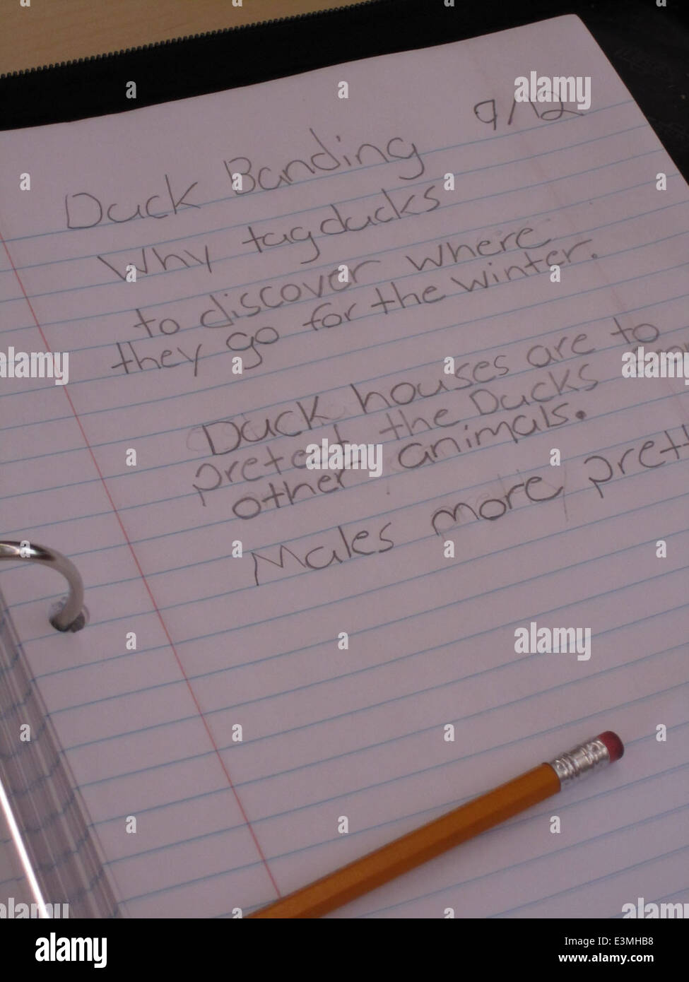 Wildlife observations hi-res stock photography and images - Alamy