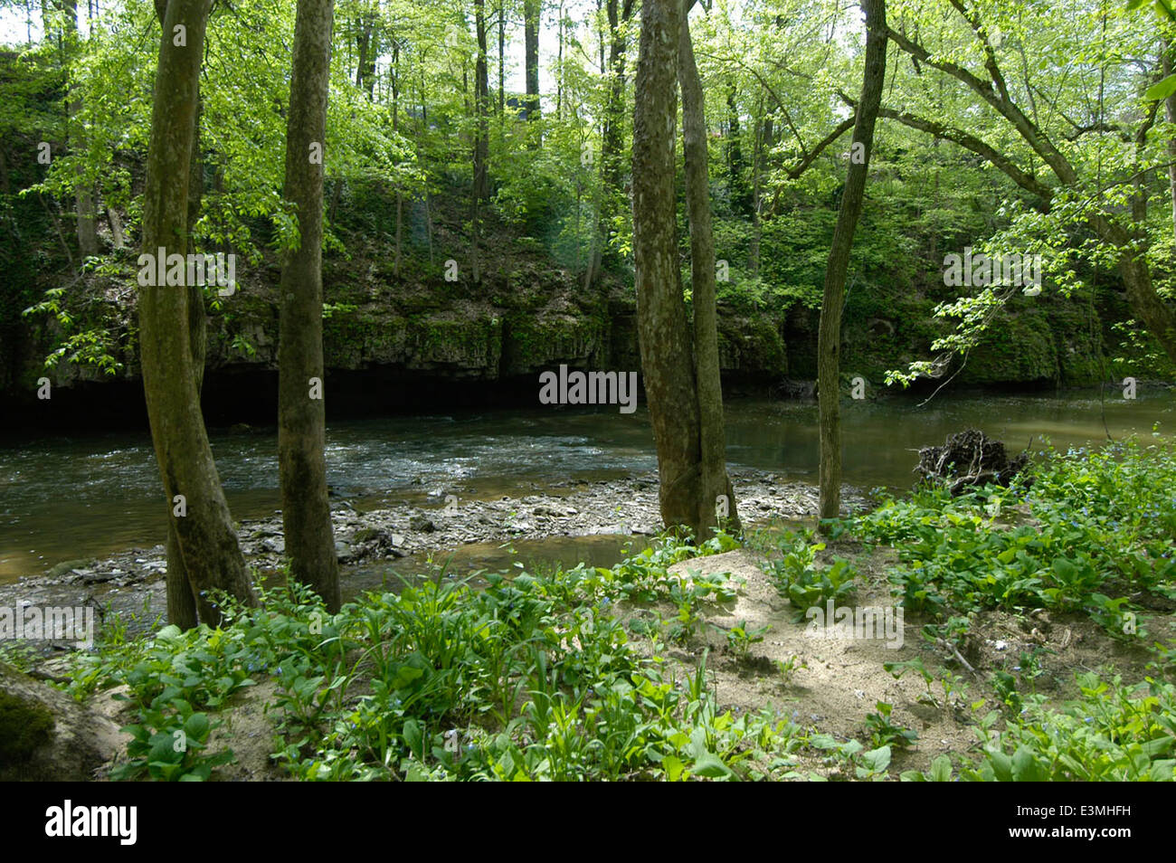 The Muscatatuck River in Indiana is a key location for successful ...