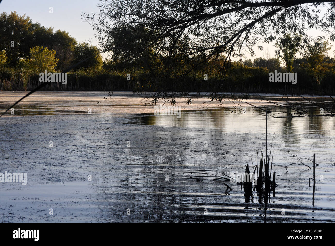 The Prairie Wetlands Learning Center (PWLC) in Fergus Falls offers ...