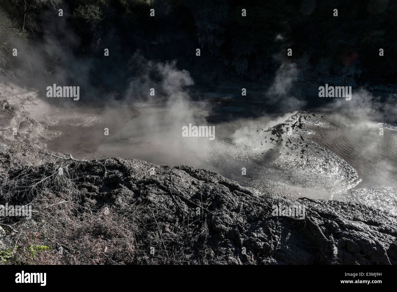 Hell's gate new zealand hi-res stock photography and images - Alamy
