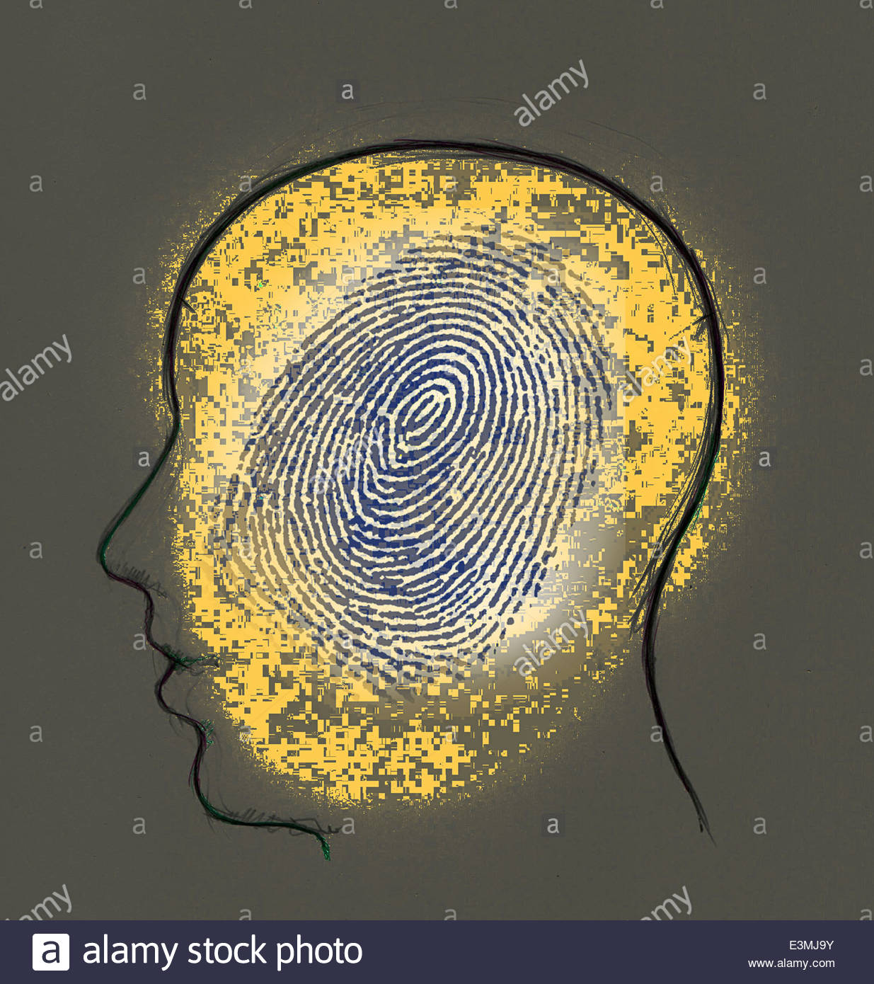 Fingerprint Fingerprints Individuality Stock Photos & Fingerprint ...