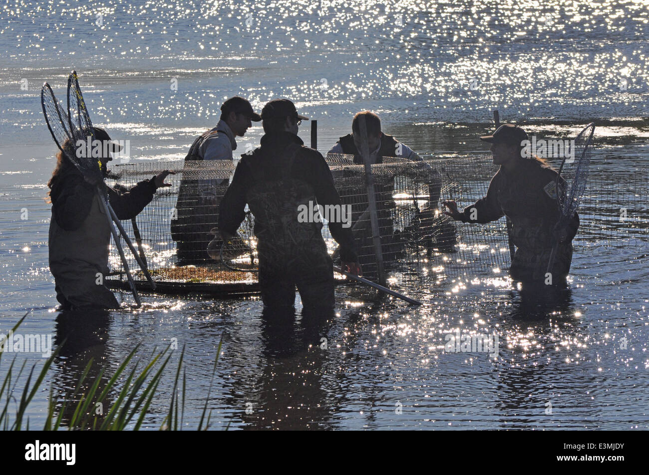 Volunteers and staff at the Prairie Wetlands Learning Center in Fergus ...