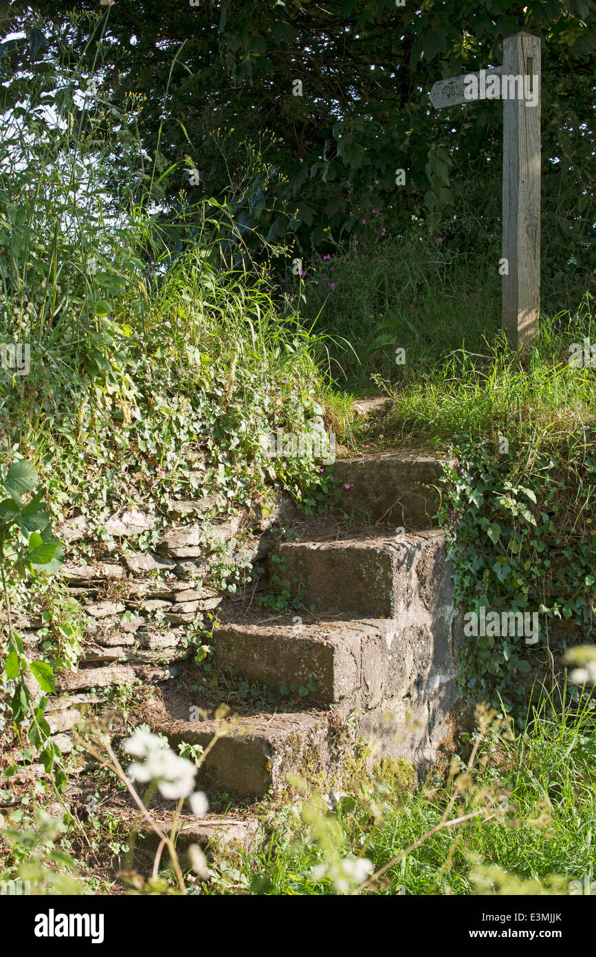 Wooden steps footpath hi-res stock photography and images - Alamy Wooden steps footpath hi-res stock photography and images - Alamy