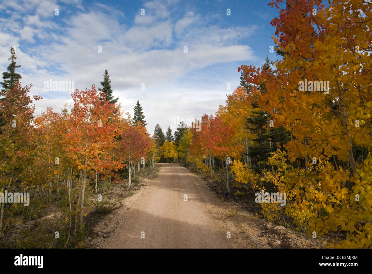 The North Kaibab Ranger District in the Kaibab National Forest is ...