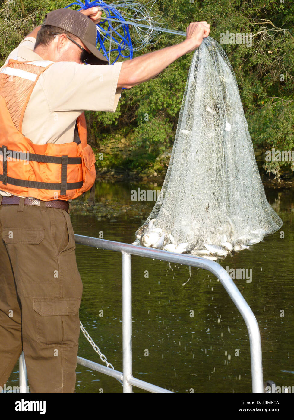 A snapshot of fish capture operations. These efforts are typically ...