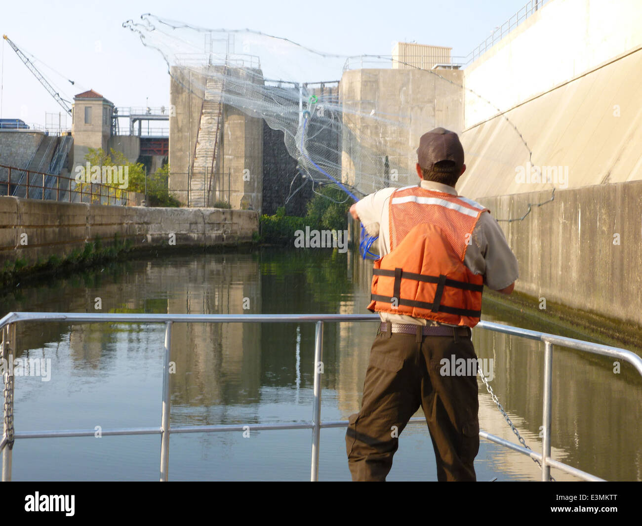 Fish netting is a practice used for capturing fish for research ...