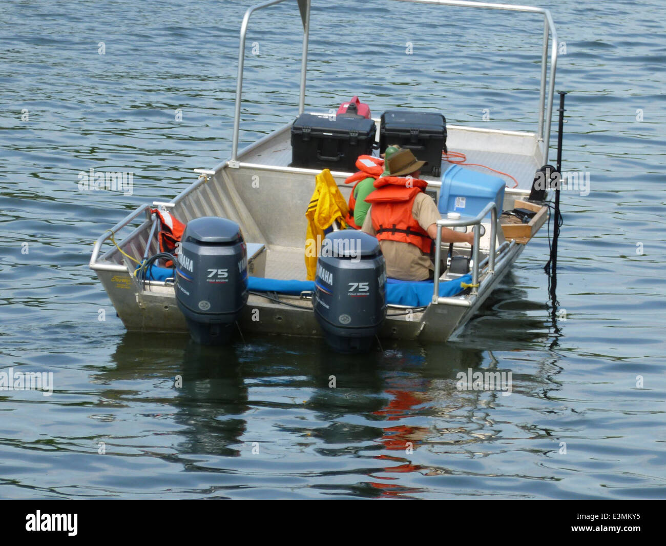 Wild fish sampling is conducted as part of ongoing wildlife management ...