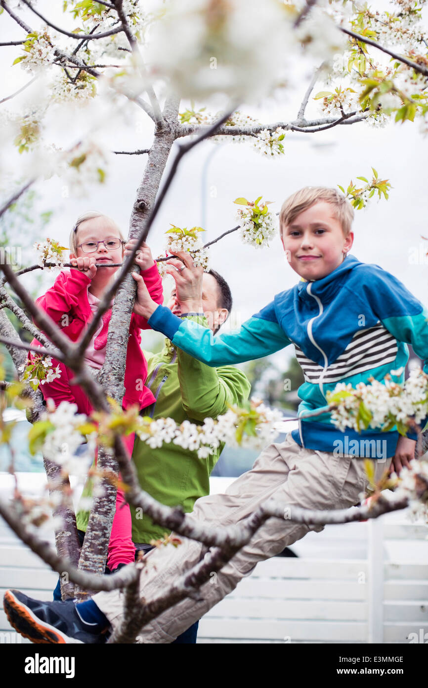 Portrait of siblings on tree branch with father standing in yard Stock ...