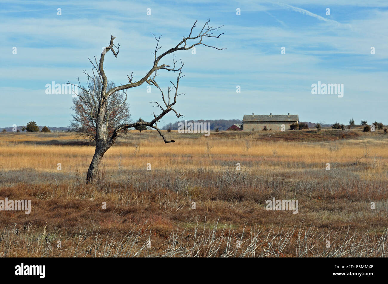 Lost prairie hi-res stock photography and images - Alamy