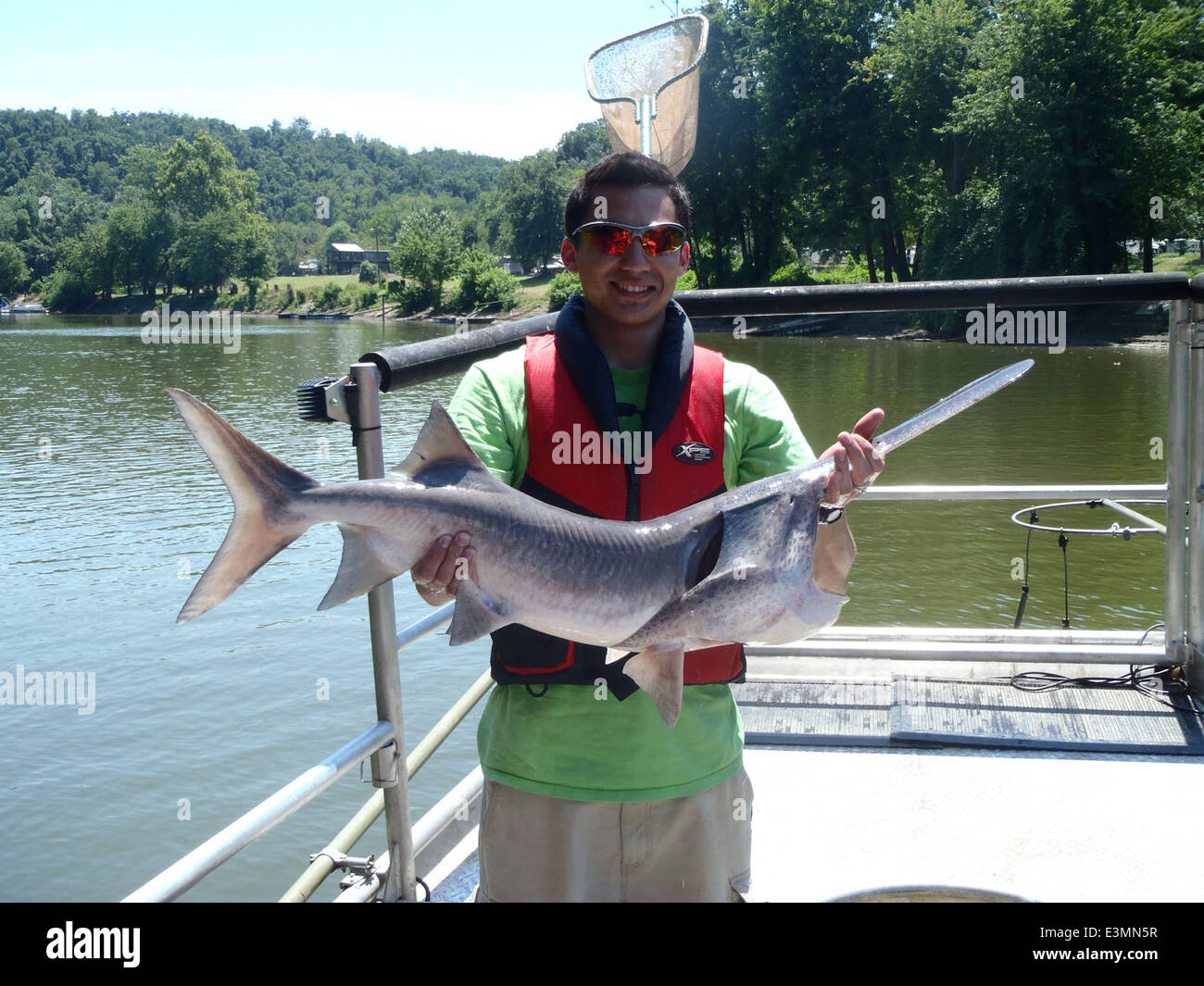 Paddlefish hi-res stock photography and images - Alamy