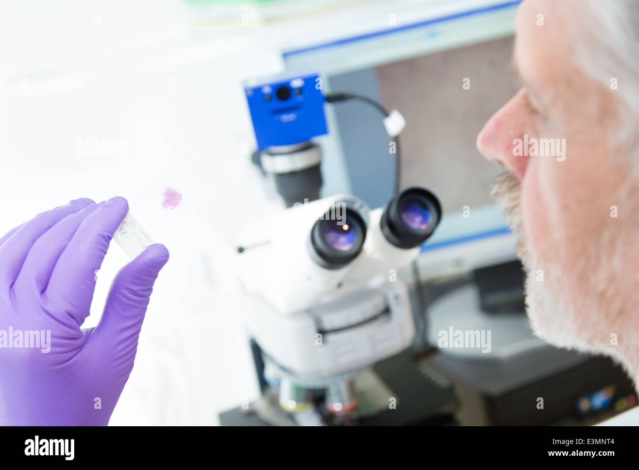 Senior scientist microscoping in lab Stock Photo - Alamy