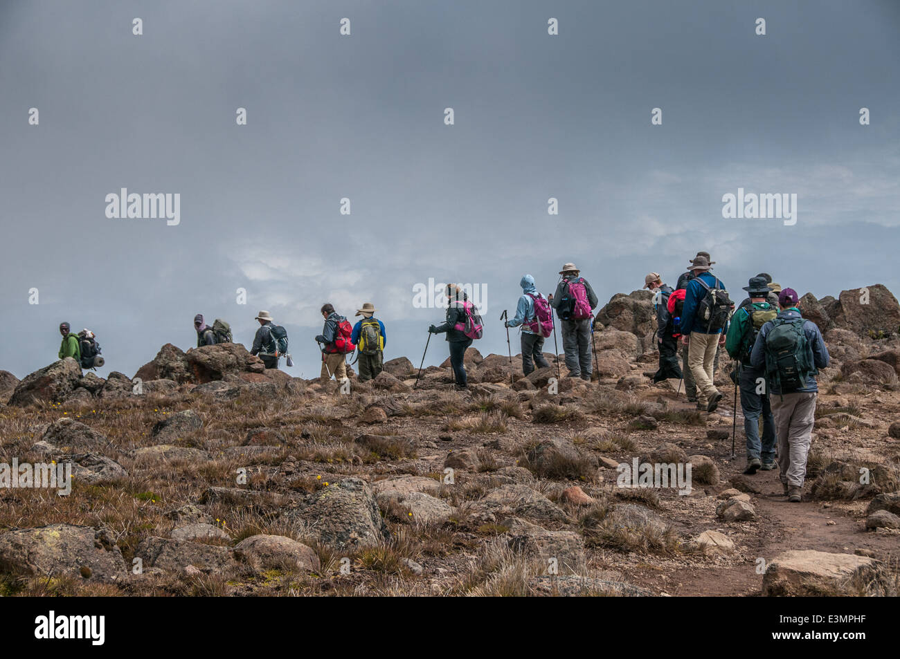 A group trekking on Kilimanjaro Stock Photo - Alamy