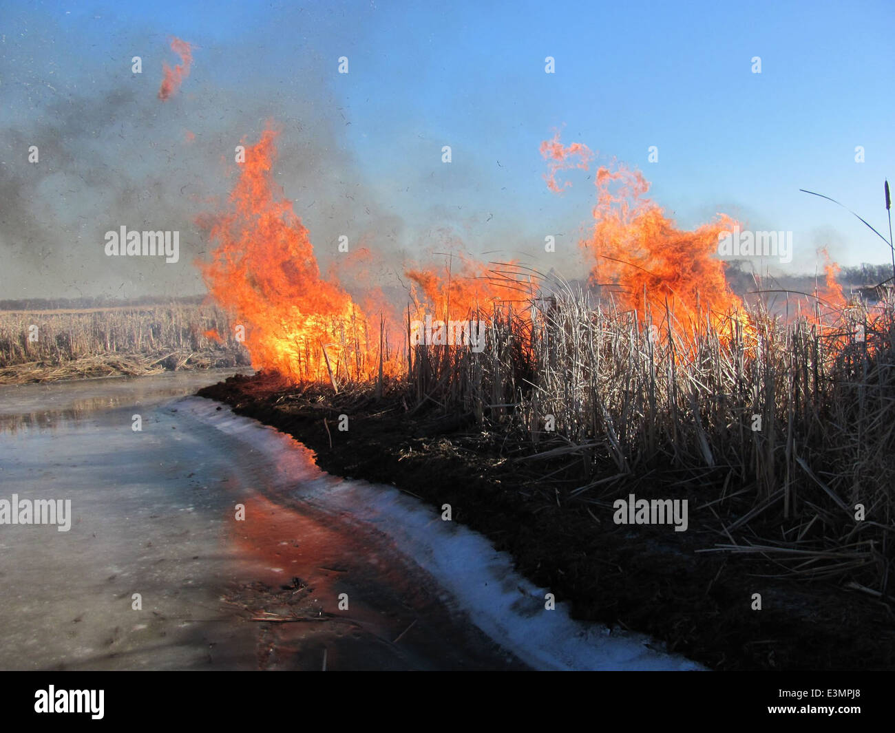 Rx burn hi-res stock photography and images - Alamy