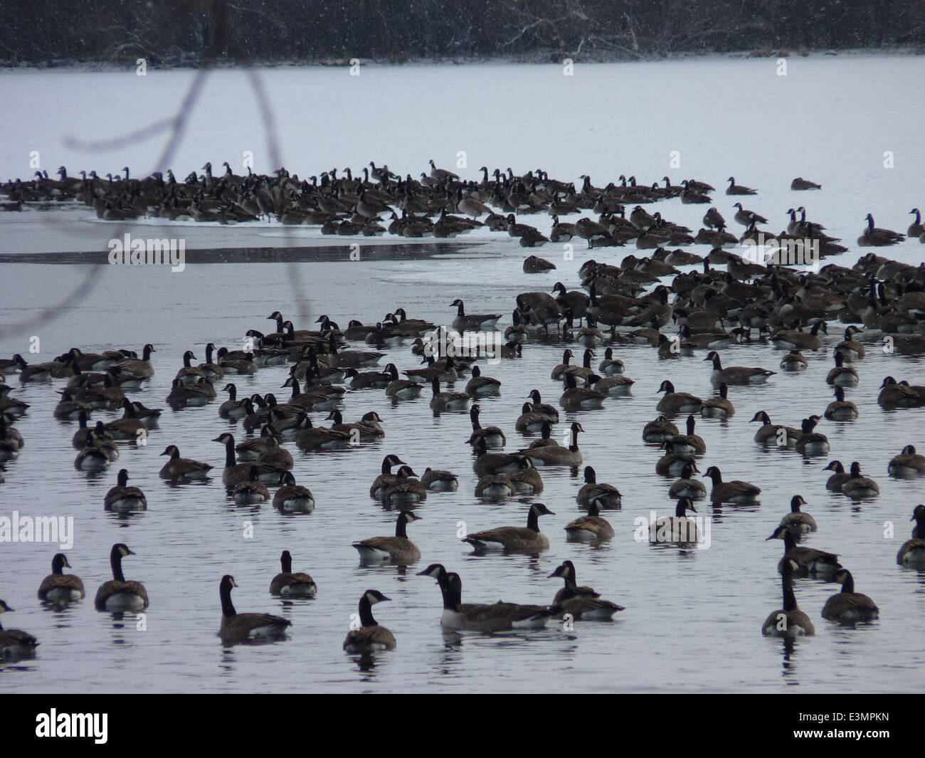The Morris Wetland Management District in Minnesota provides vital ...