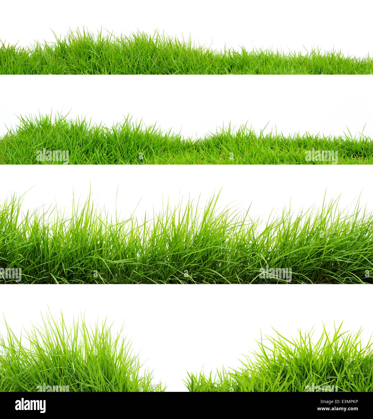 Lawn grass grass turf hi-res stock photography and images - Alamy