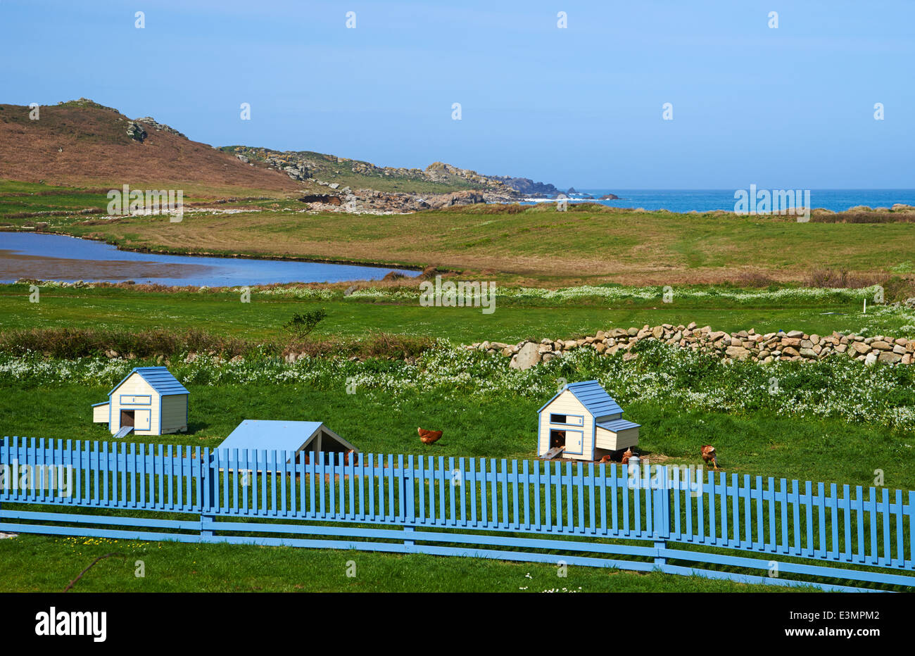 chicken sheds, chicken coops, for free range chickens at Hell Bay ...