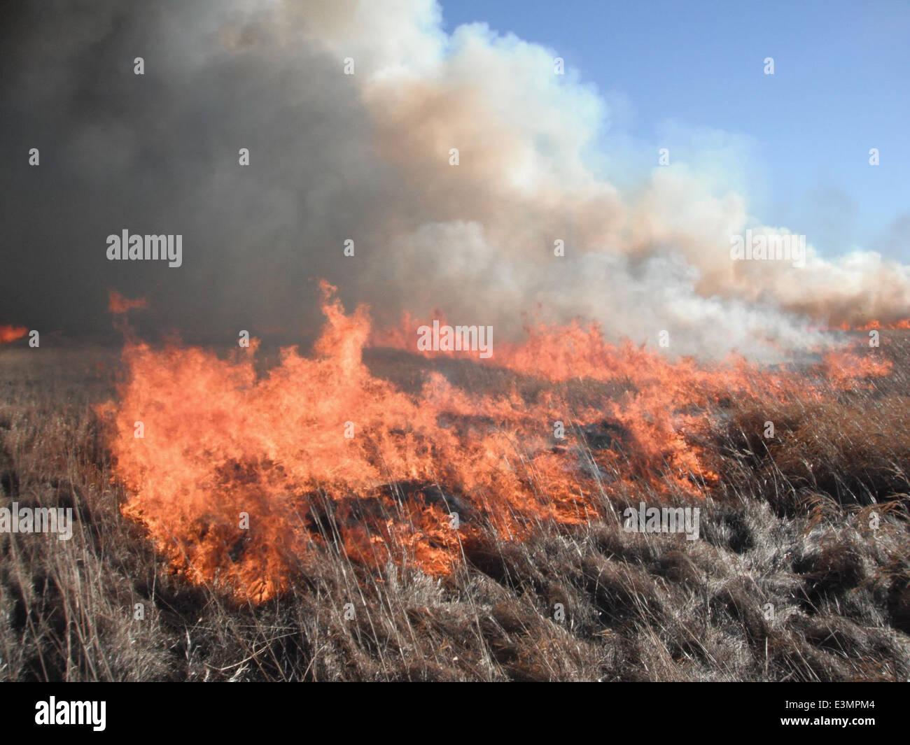 Rx burn hi-res stock photography and images - Alamy
