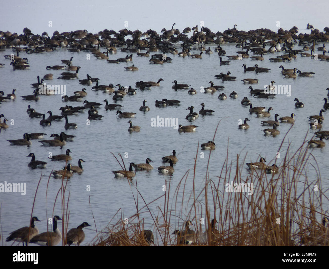 The Morris Wetland Management District in Minnesota plays a critical ...
