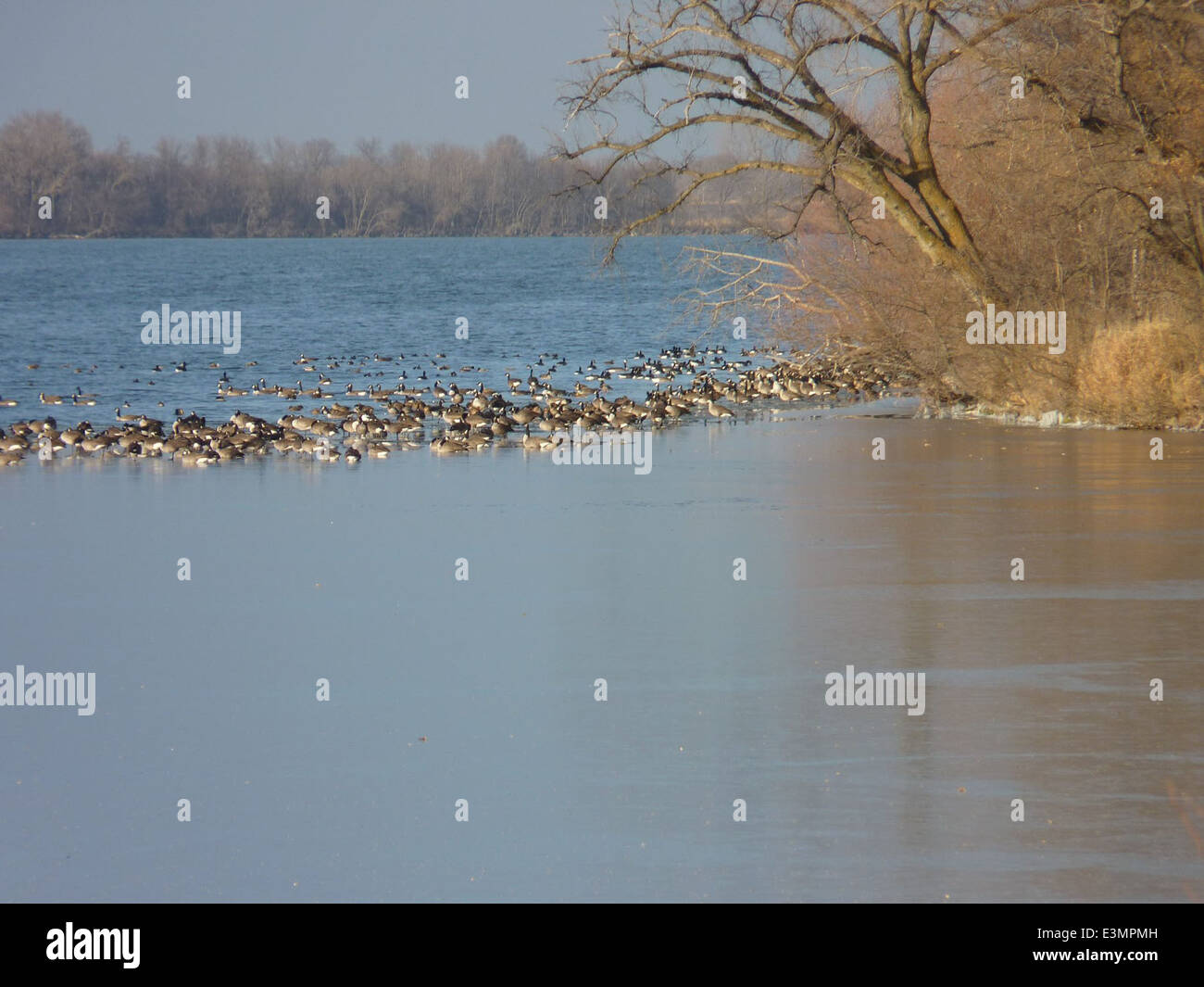 Morris Wetland Management District in Minnesota provides critical ...