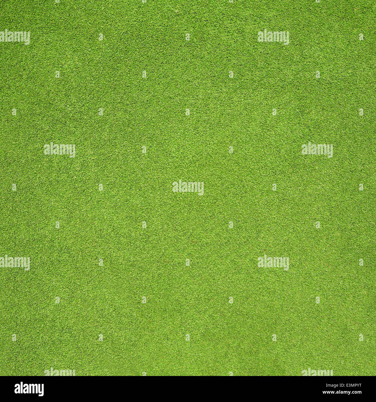 Grass texture seamless hi-res stock photography and images - Alamy