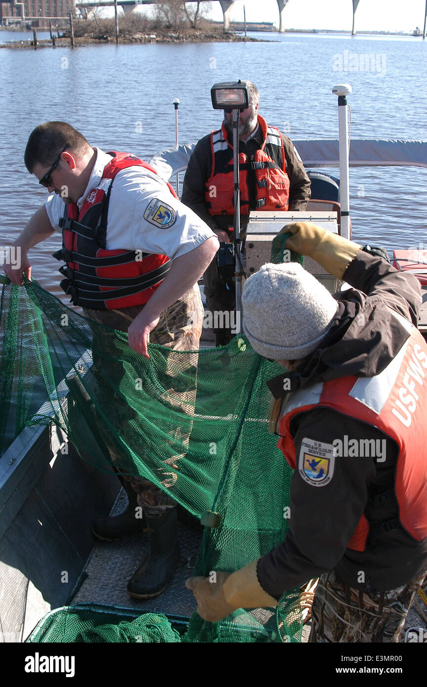 Fish sampling is a key method used in fisheries management to assess ...