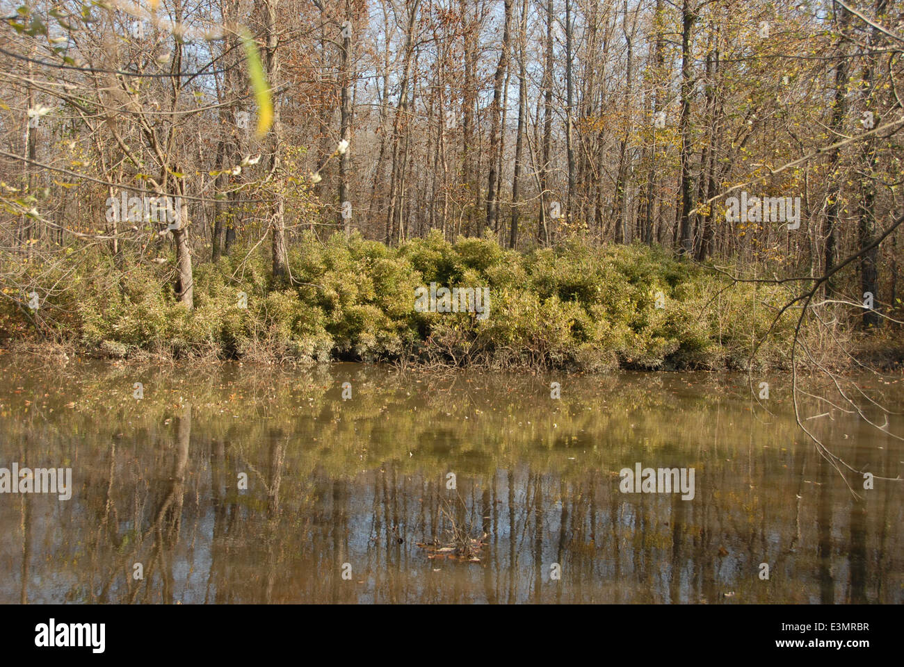 Patoka wildlife refuge hi-res stock photography and images - Alamy