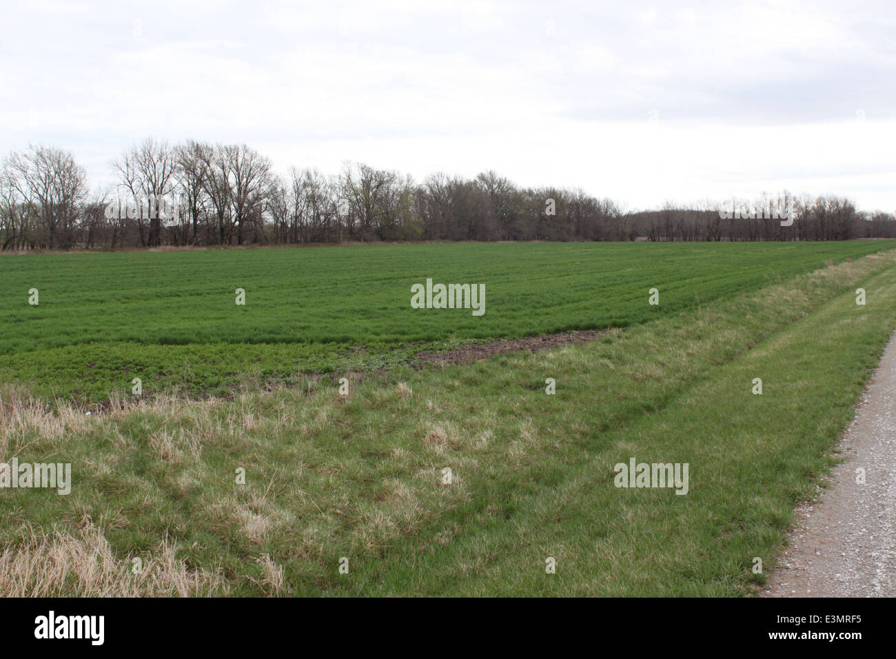 Cropland management hi-res stock photography and images - Alamy
