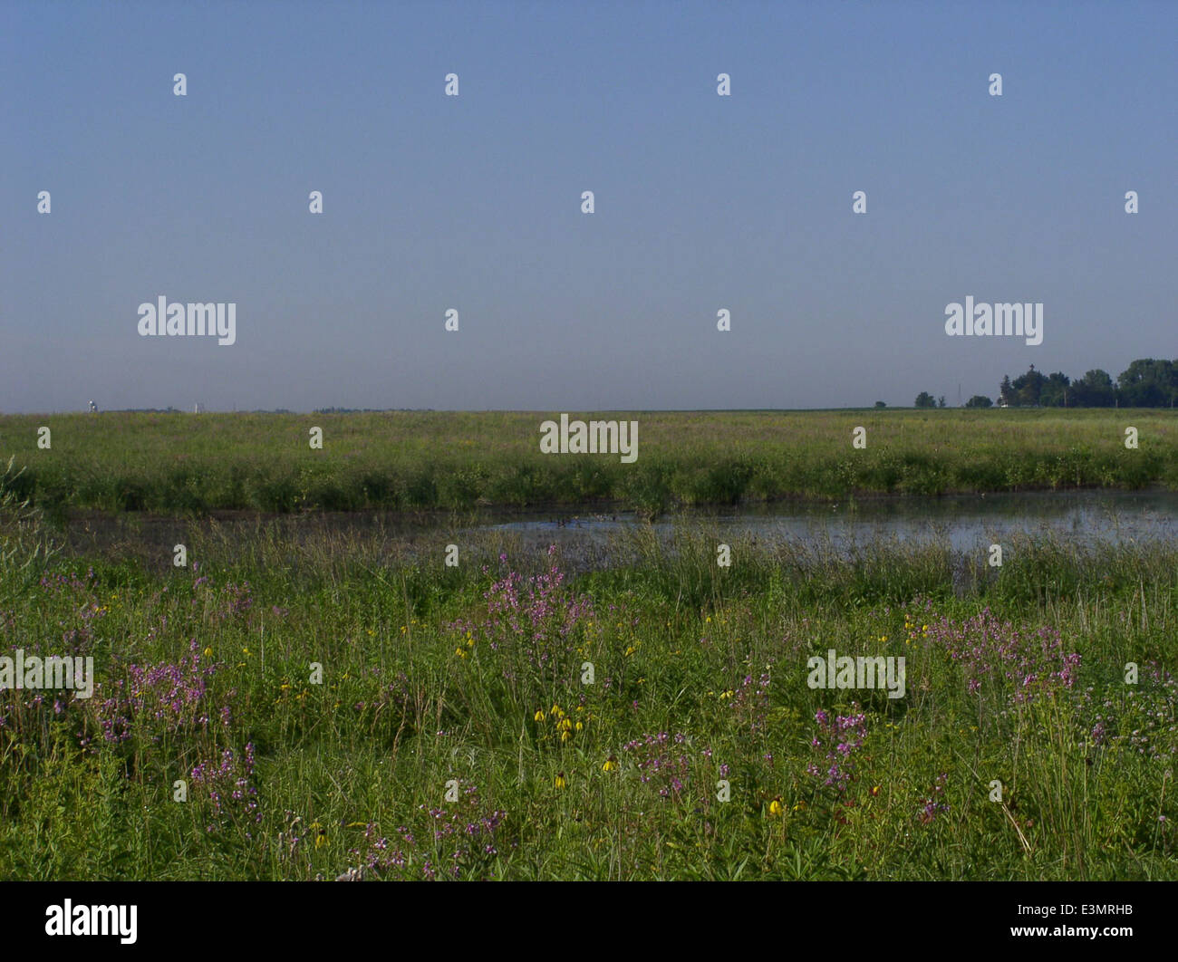 Wmd hi-res stock photography and images - Alamy