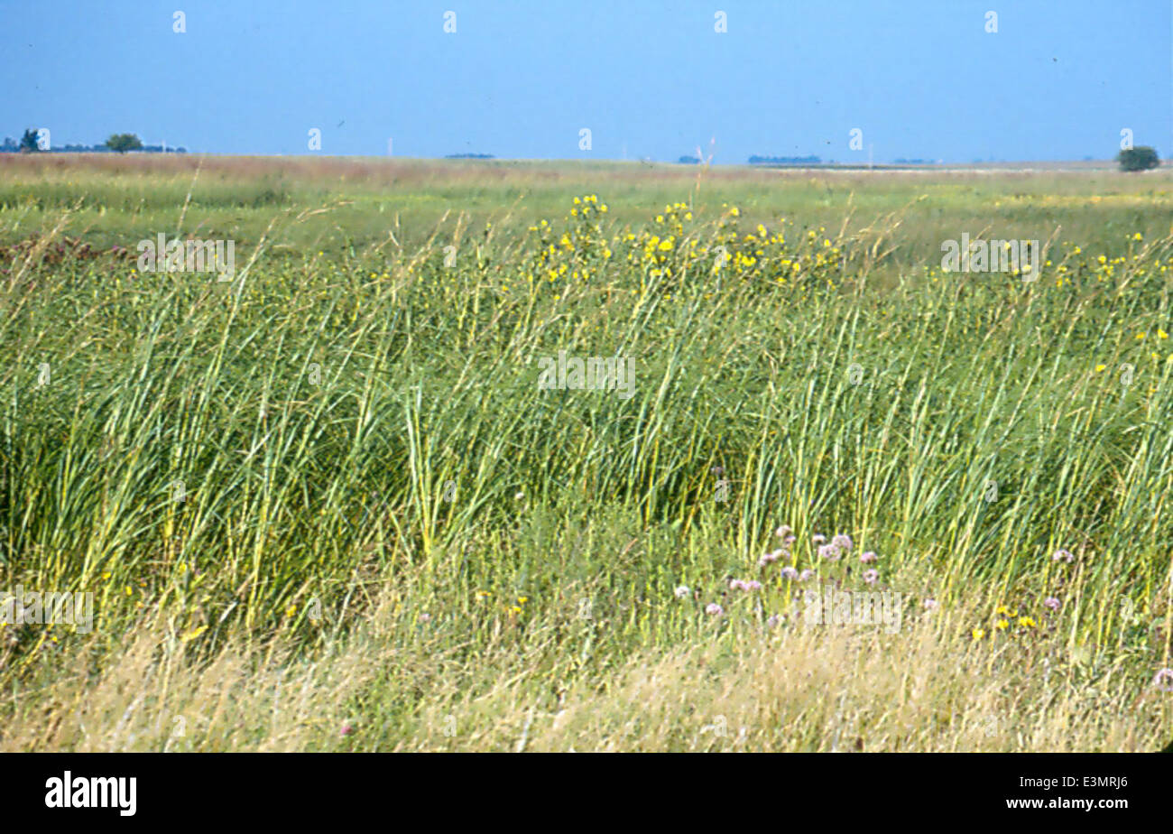 Iowa wetland management district hi-res stock photography and images ...
