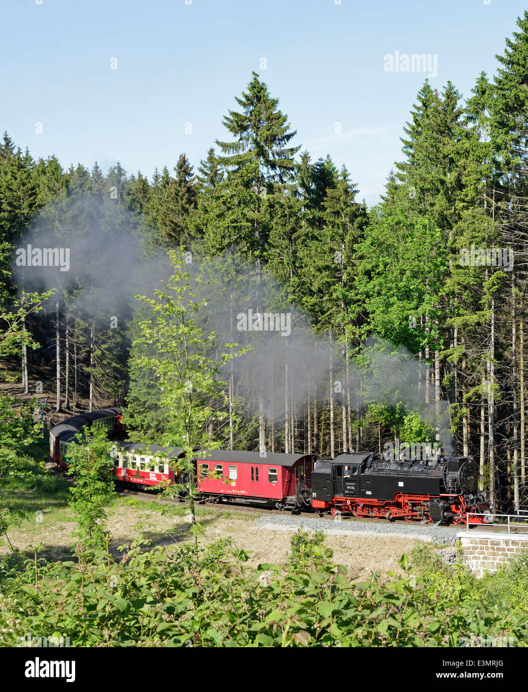 steam train called Brockenbahn near Drei Annen, Harz Mountains, Saxony ...