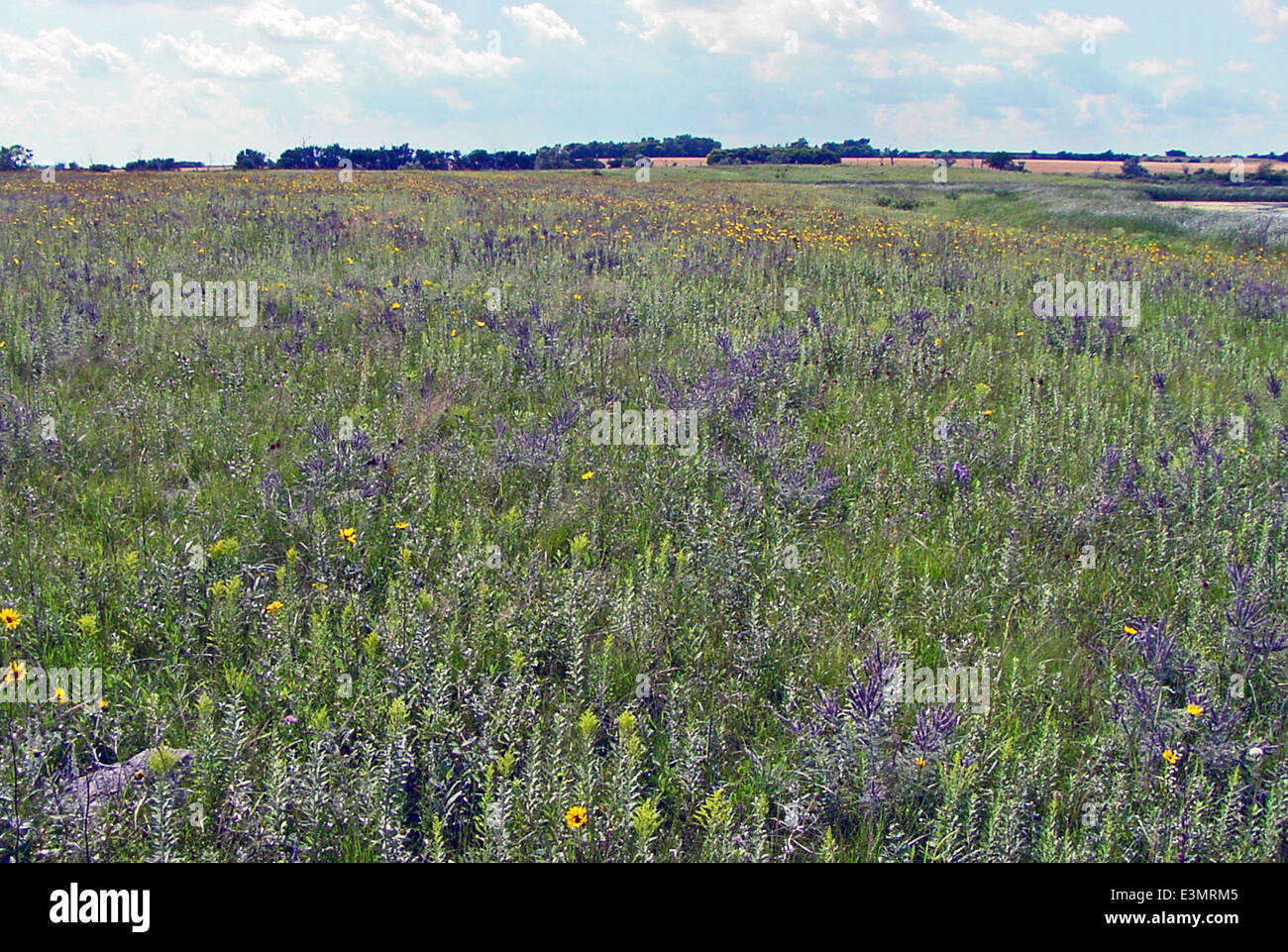 The Northern Tallgrass Prairie National Wildlife Refuge is home to ...