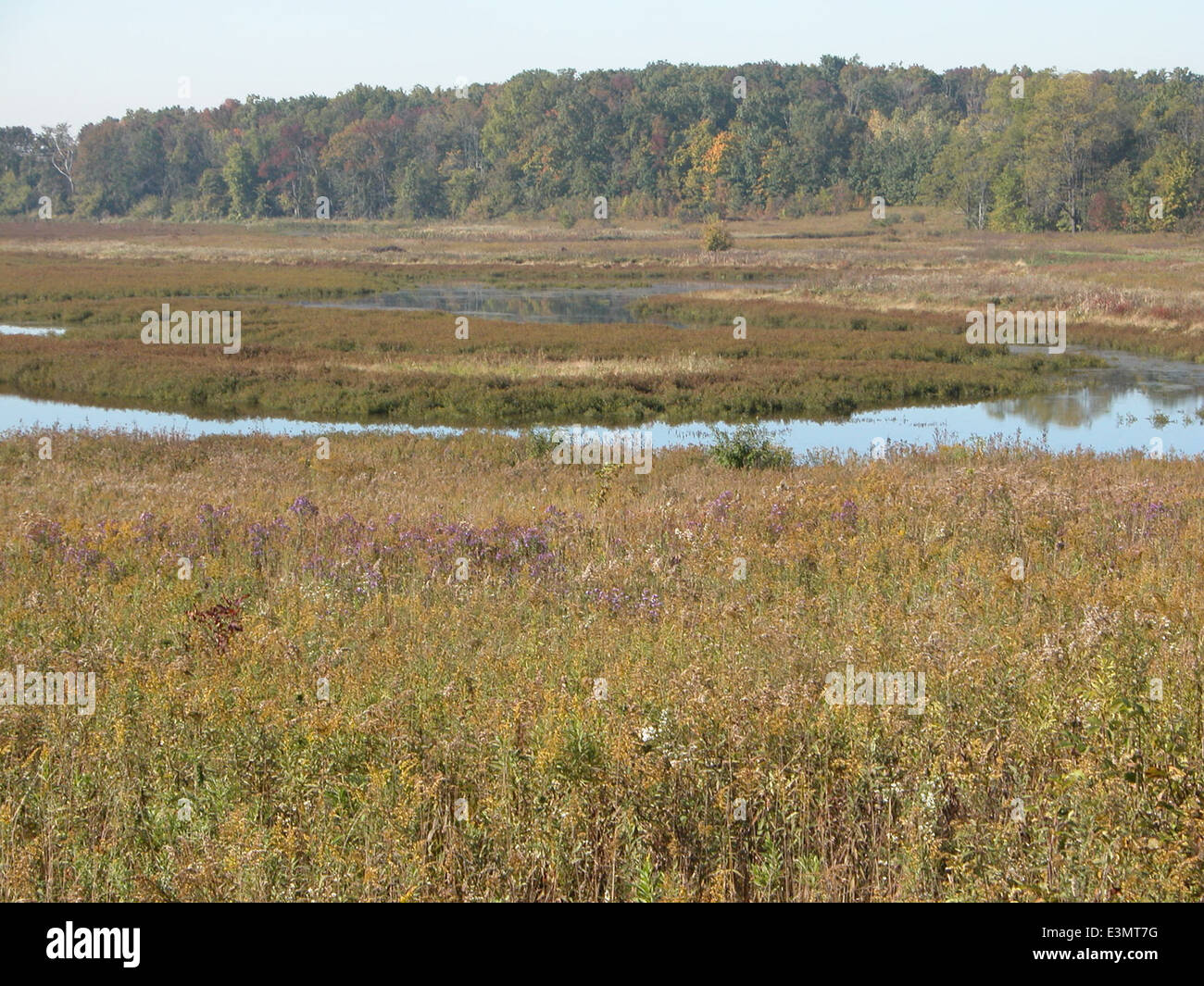 Michigan wetland management district hi-res stock photography and ...