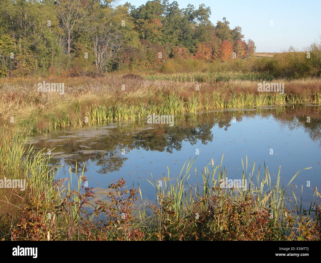 Wmd hi-res stock photography and images - Alamy