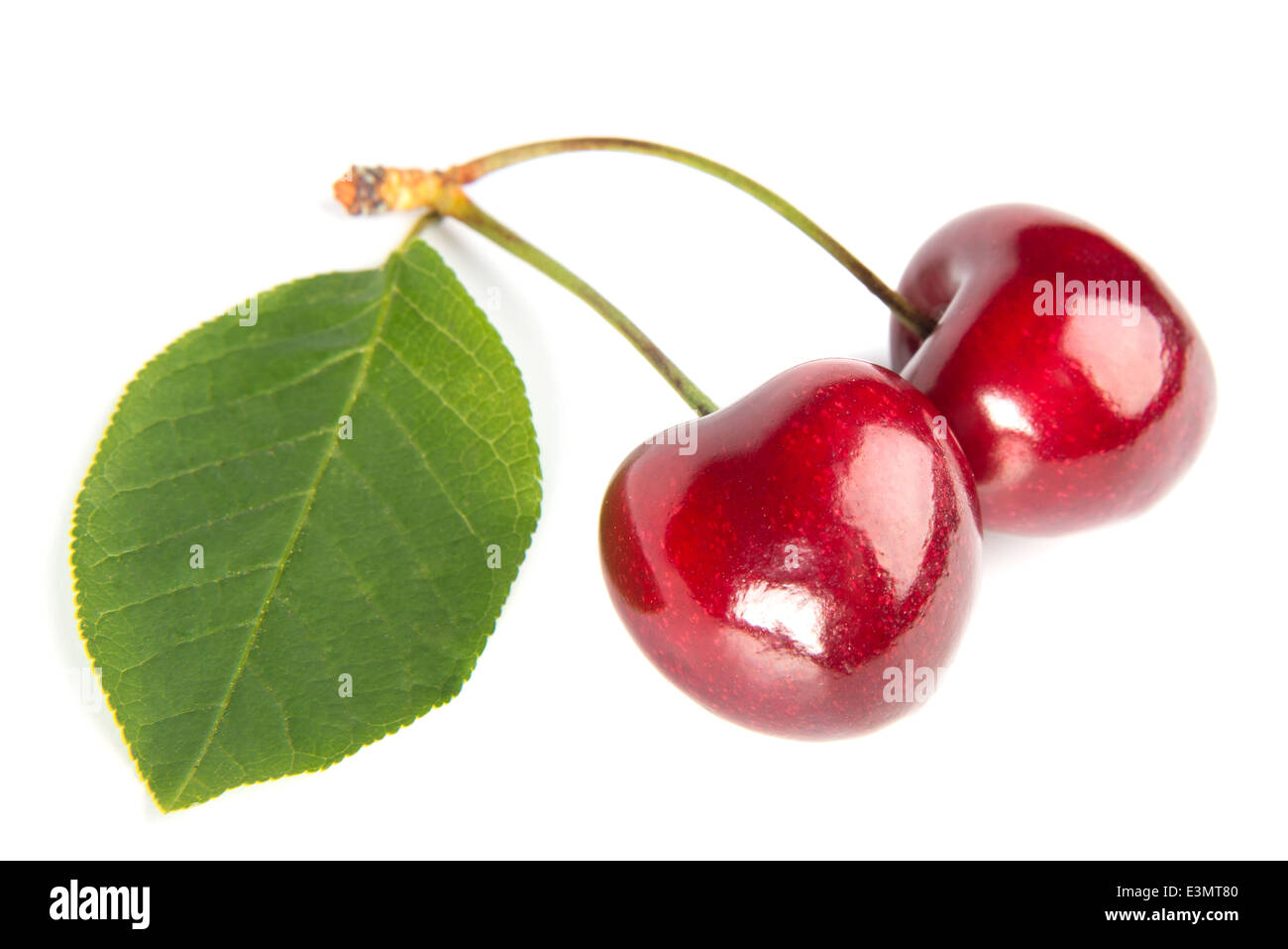 Three cherries stem leaf hi-res stock photography and images - Alamy