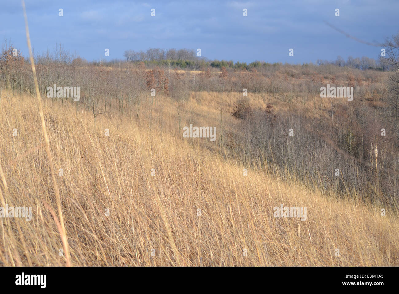 The Patoka River National Wildlife Refuge in Indiana is home to ...