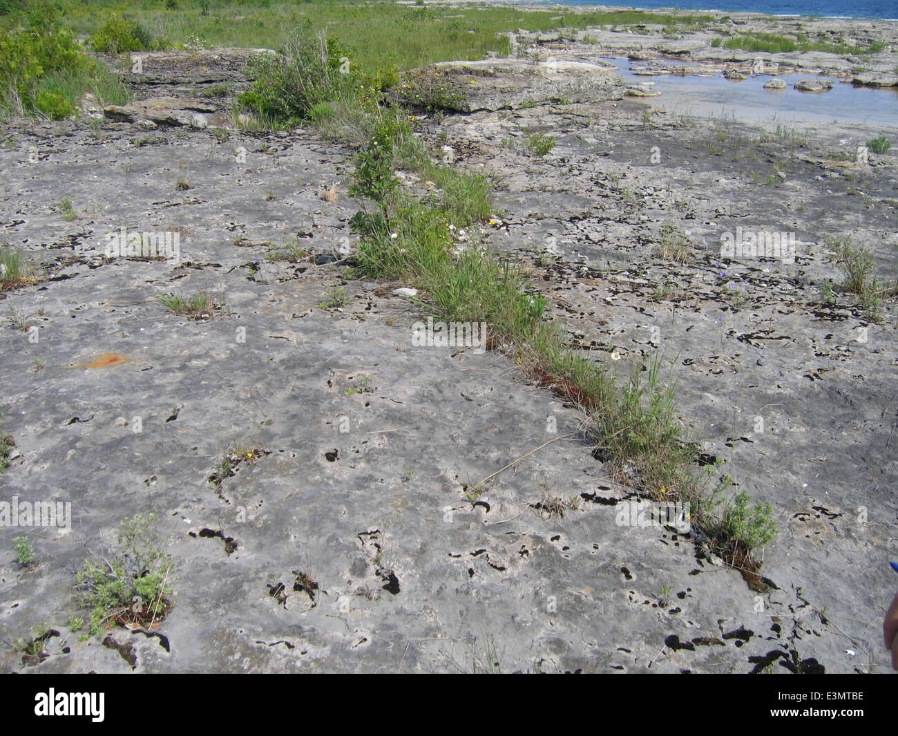 The Michigan Islands, located in the Midwest NWR, are a vital part of ...