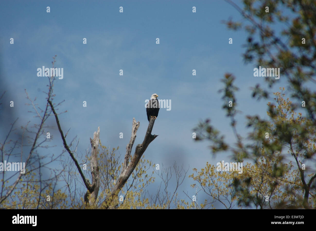 This image features a scenic view of Green Bay, capturing the natural ...