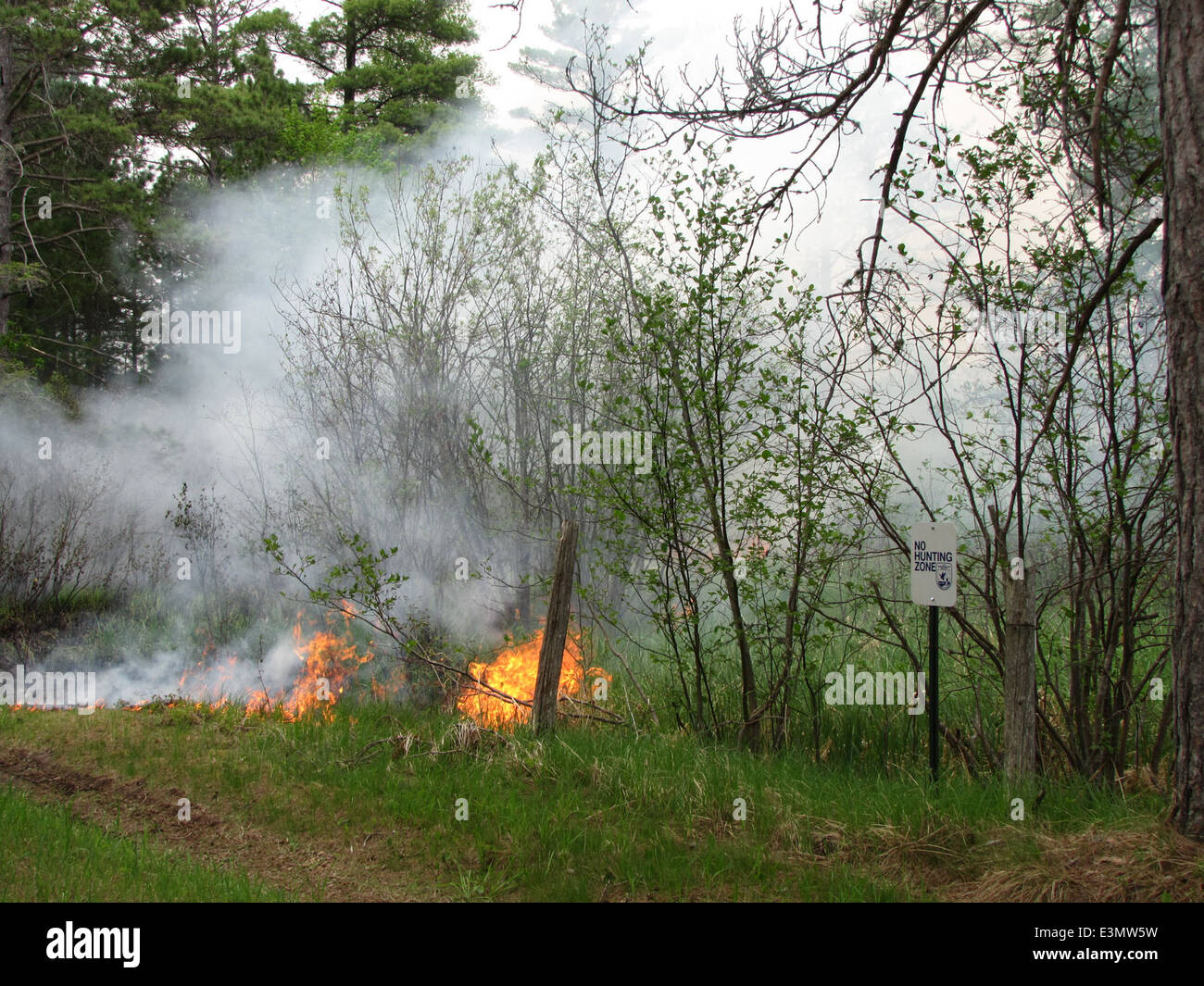 The Back Fire in Michigan's Upper Peninsula occurred near Pine Creek in ...