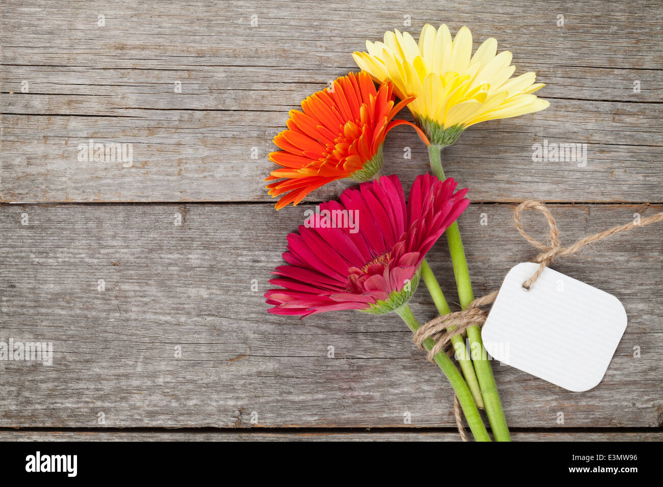 Three gerbera flowers hi-res stock photography and images - Alamy